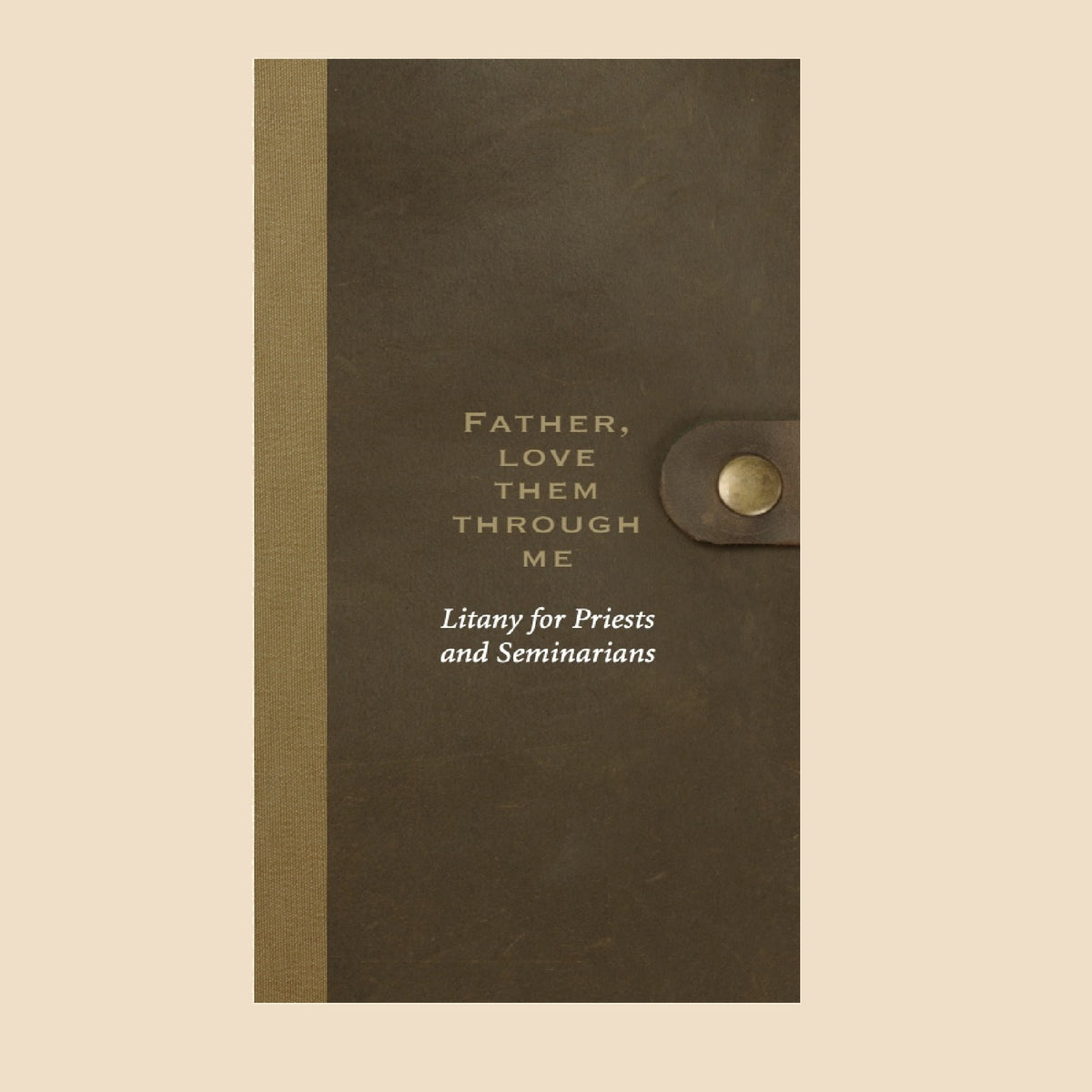 Father, Love Them Through Me: Litany for Priests and Seminarians ...