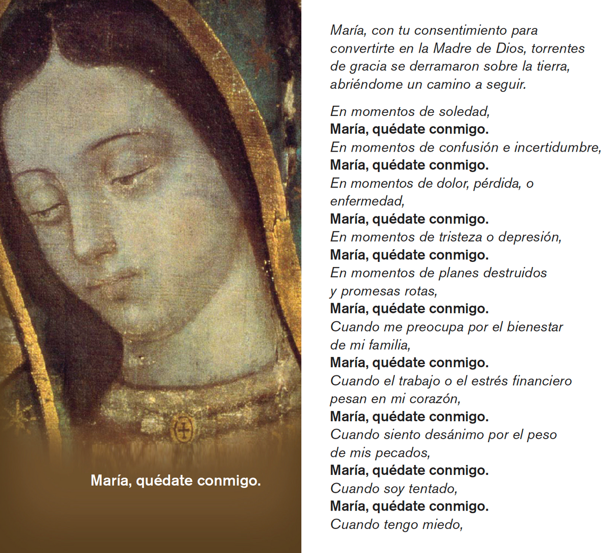 Magnificat con María in Spanish/en Español (Paquetes de 25 o más ...